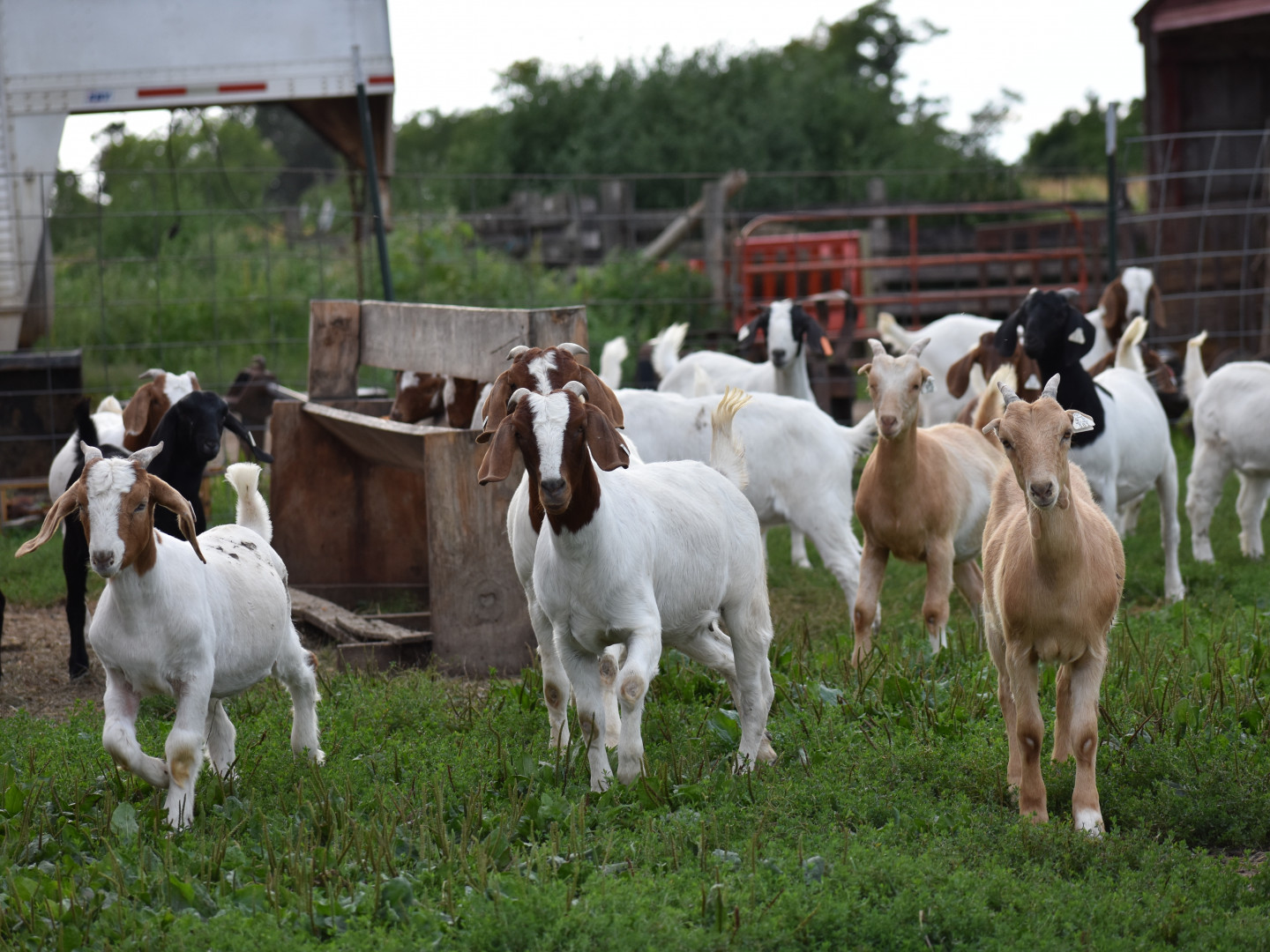 Our Story | Brower Farms Meat Processing